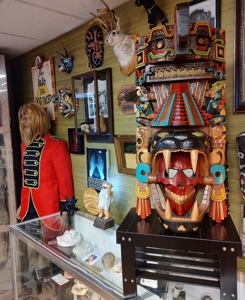 Oddball Oddity Museum - House of Oddities & Curious Goods